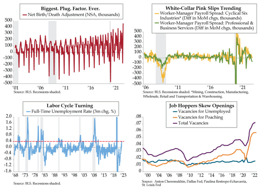 Sweeping Zollinger’s Carpets - QI Research