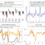 DAILY FEATHER ARCHIVE - QI Research